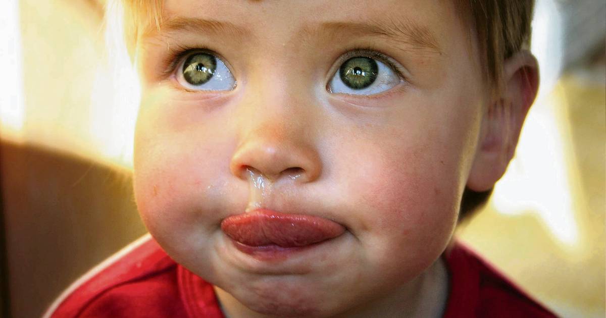 Kind met snotneus? Dan niet meer naar de opvang | Moerdijk | bndestem.nl