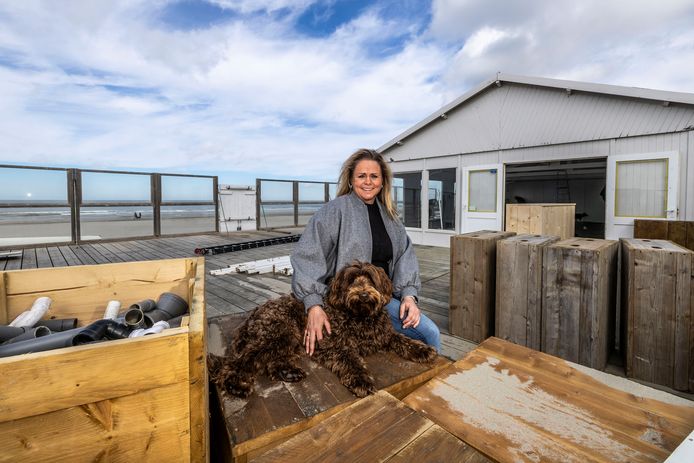Peggy begint eigen strandtent op hemelsbreed twee kilometer van die van ...