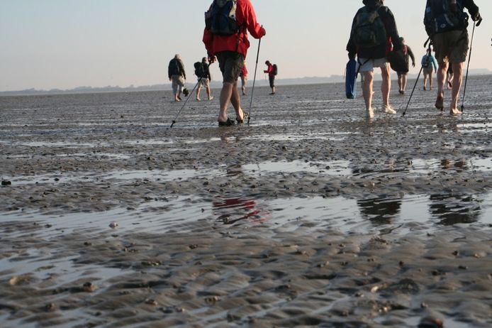 Wandelen in Kraaijenberg: schoen kwijt, sokken kleddernat net als de ...