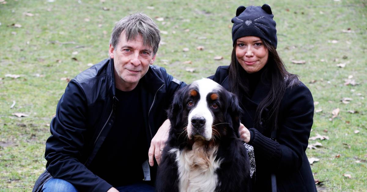 Luk Alloo en Sandy pakten zijn co-ouderschap sámen aan: “Ze heeft mijn ...