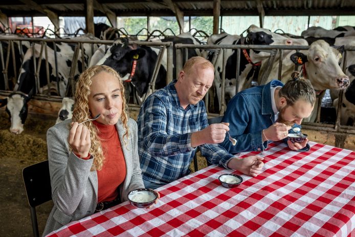 De magere kwark uit deze supermarkt wint onze test: 'Zo hoort kwark te ...