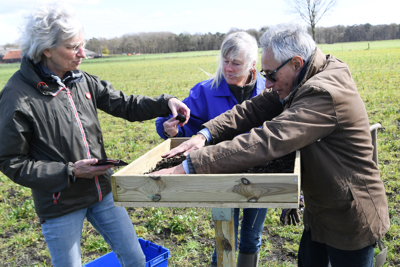 Scholekster kan veilig landen, maar ziet hij zo’n ‘pietenpaal’ wel ...