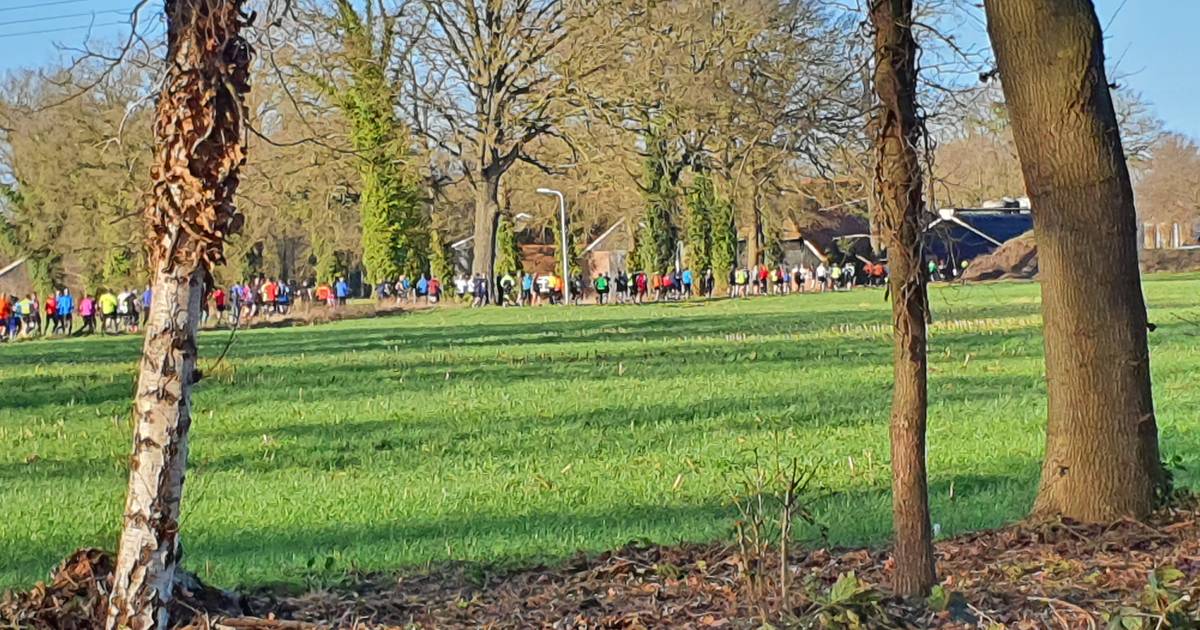 Harmen Hoek de snelste op 10 km van eerste Woolderesloop in Hengelo ...