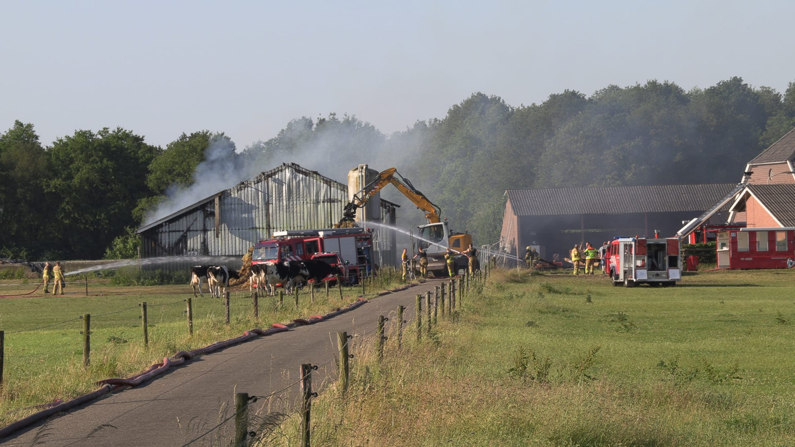 Tien kalfjes omgekomen bij stalbrand, boer zwaar aangeslagen: ‘Een ...
