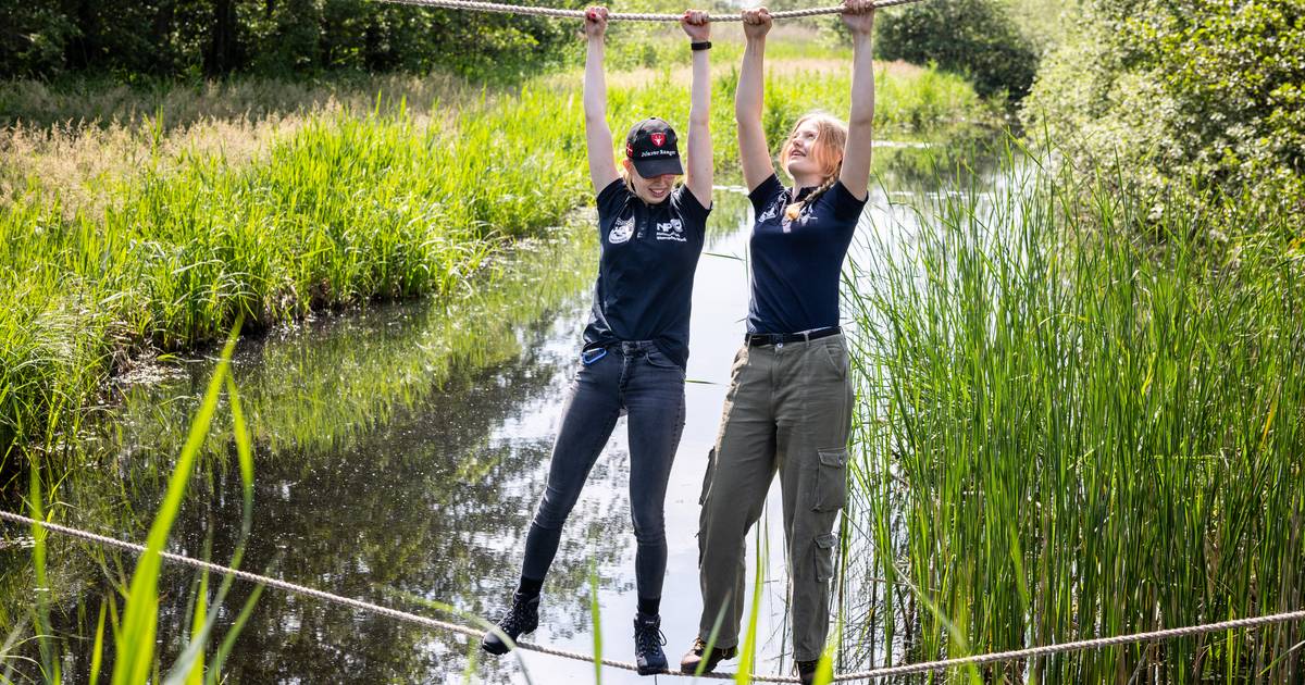 Hoe overbrug je een sloot in de natte Weerribben-Wieden? Zo doen de ...