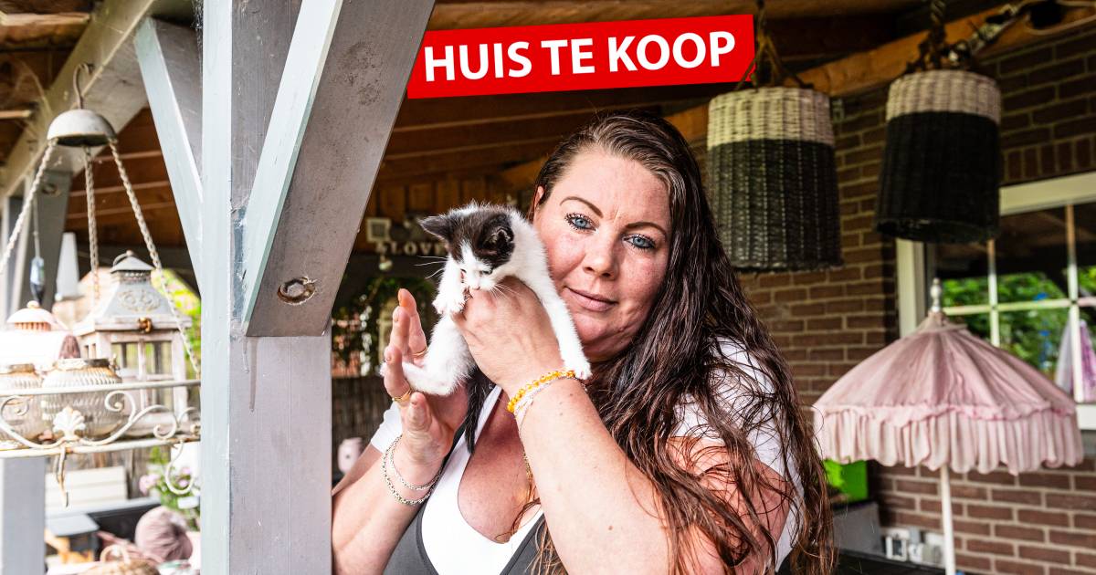 De verbouwing van dit huis kon je volgen in Help mijn man is klusser ...