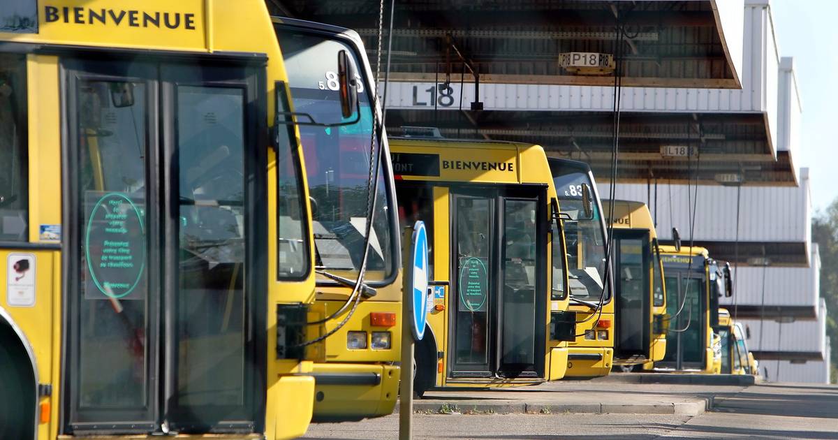 Les bus TEC ont repris la route | Belgique | 7sur7.be