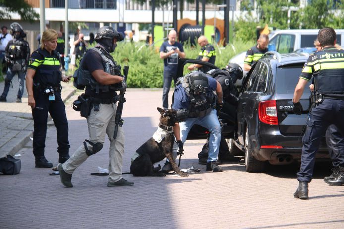 Arrestatieteam oefent in Zwolle | Zwolle | AD.nl