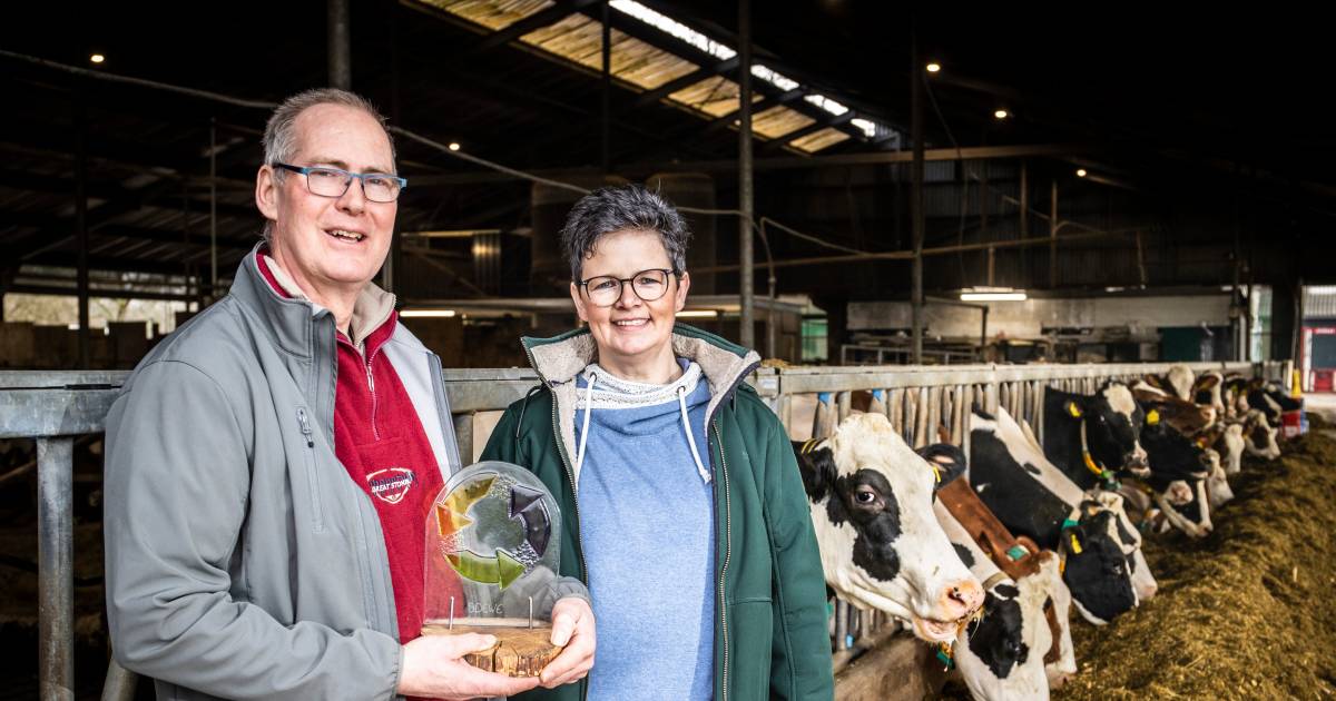Onzekere toekomst geeft familie De Wilde uit Enter de kracht alles uit ...