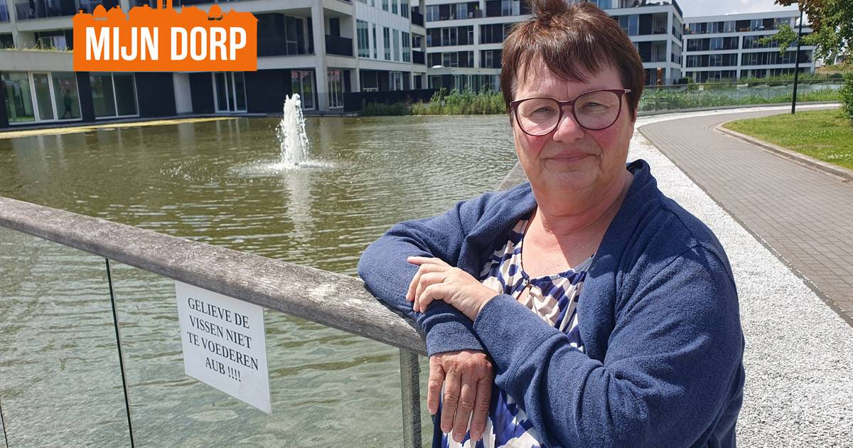 MIJN DORP. Het Aalter van Nancy Sturtewagen (59), directeur van ...