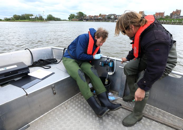 Op zoek naar dna van diersoorten in het water | Dordrecht | AD.nl