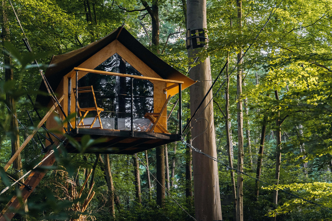 Luxueus logeren in het bos? 14 bijzondere boomhutten en huisjes. “Er is ...