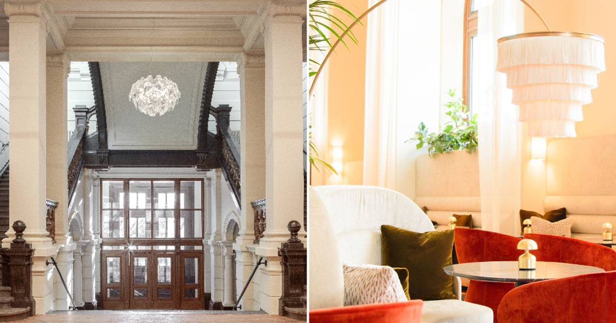 Van het KMSKA in Antwerpen tot Bozar in Brussel: 10 musea die cultuur ...