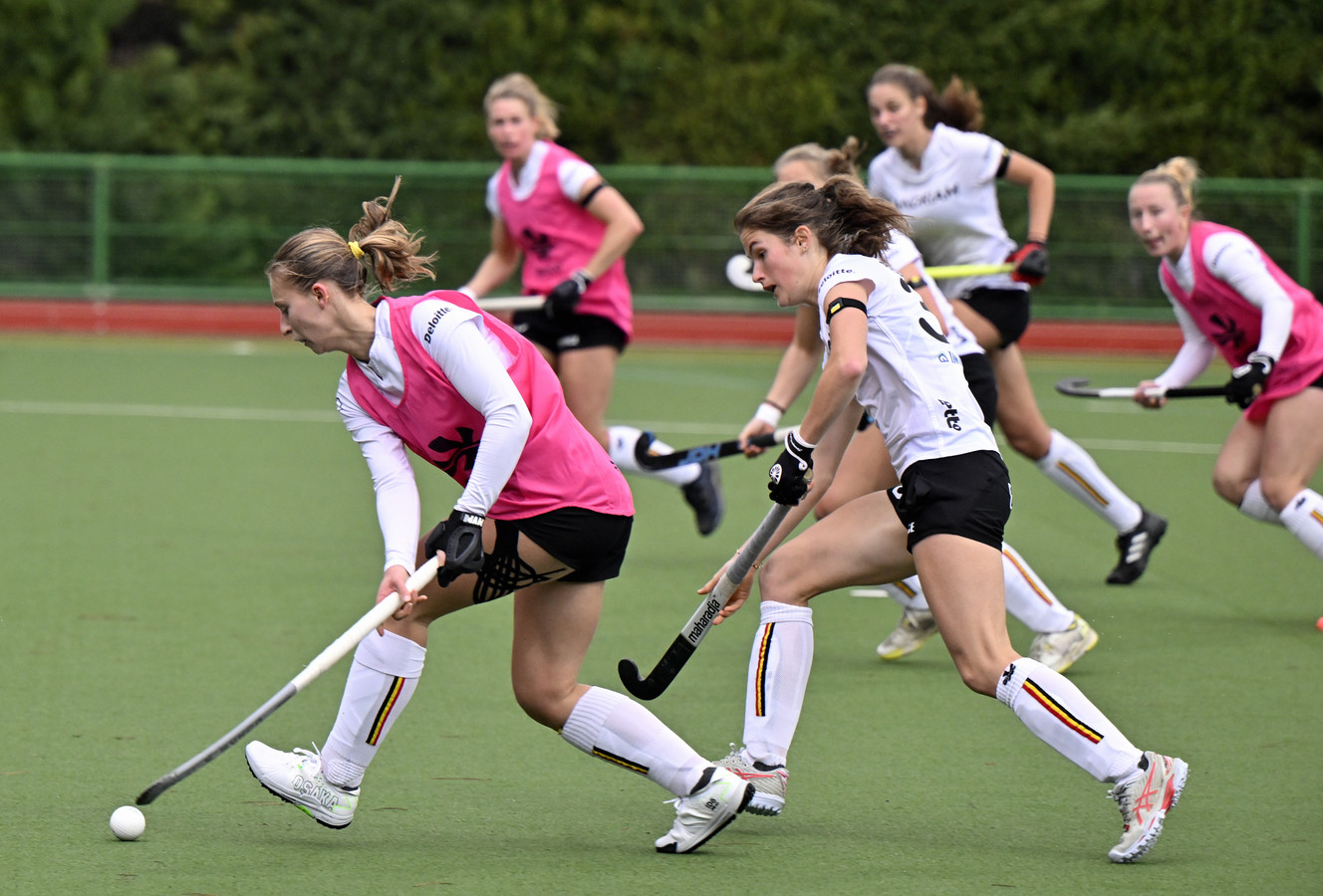 “Klaar om te klauwen”: vijf redenen waarom de Red Panthers hun ticket ...