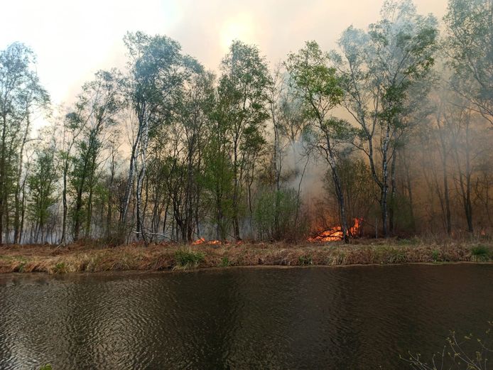 Zeer grote bosbrand in Deurnsche Peel breidt uit, rook in wijde ...