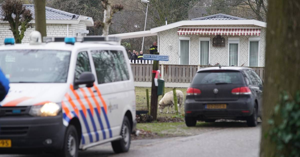 Vijf arrestaties na inval op woonwagenkamp Deventer | Deventer | destentor.nl