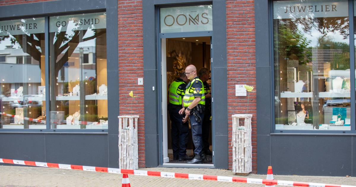 Rotterdammer (24) opgepakt voor brute overval met geweren en bijlen op ...