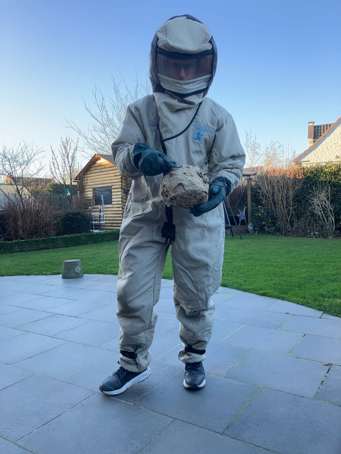 “Vang de koningin van de Aziatische hoornaar en stop ze in de diepvries ...