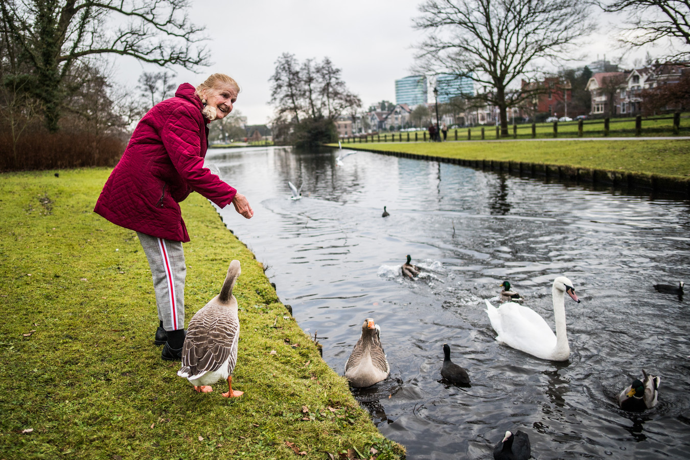 Margriet uit Arnhem haalt handtekeningen op tegen knalvuurwerk dat mens ...
