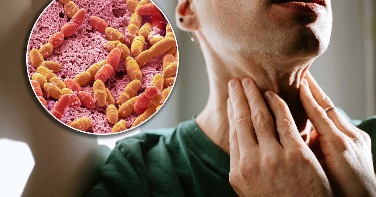 Superinfecties in ziekenhuizen: streptokokken-bacterie maakt nu ook ...