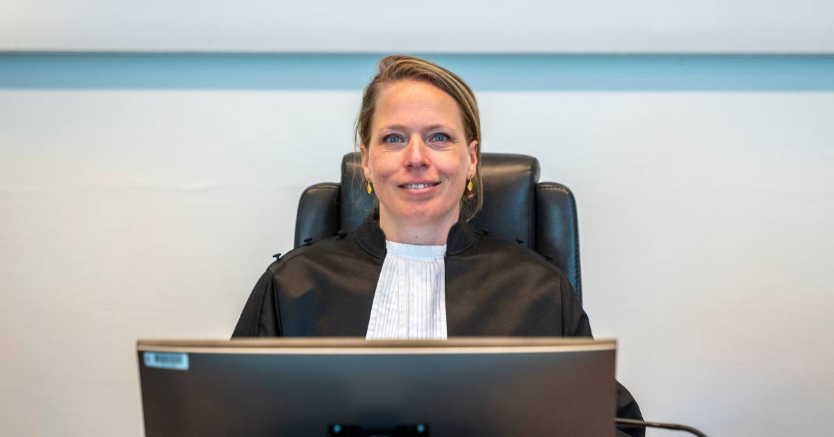 Een ochtend bij de politierechters, die de ene na de andere zaak op hun ...
