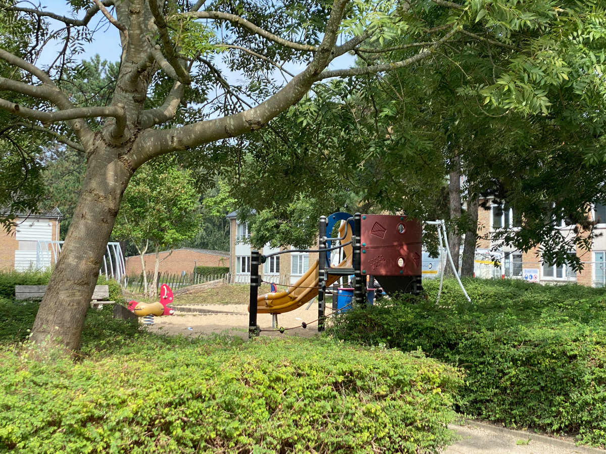 Pas gerenoveerde huizen in sociale wijk gekraakt: “Een echte plaag, en ...