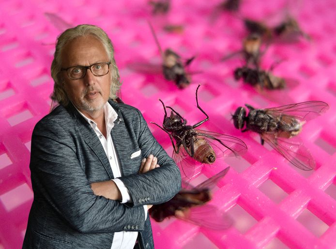 Vliegen doodmeppen, ik heb het tot sport verheven | columns | destentor.nl