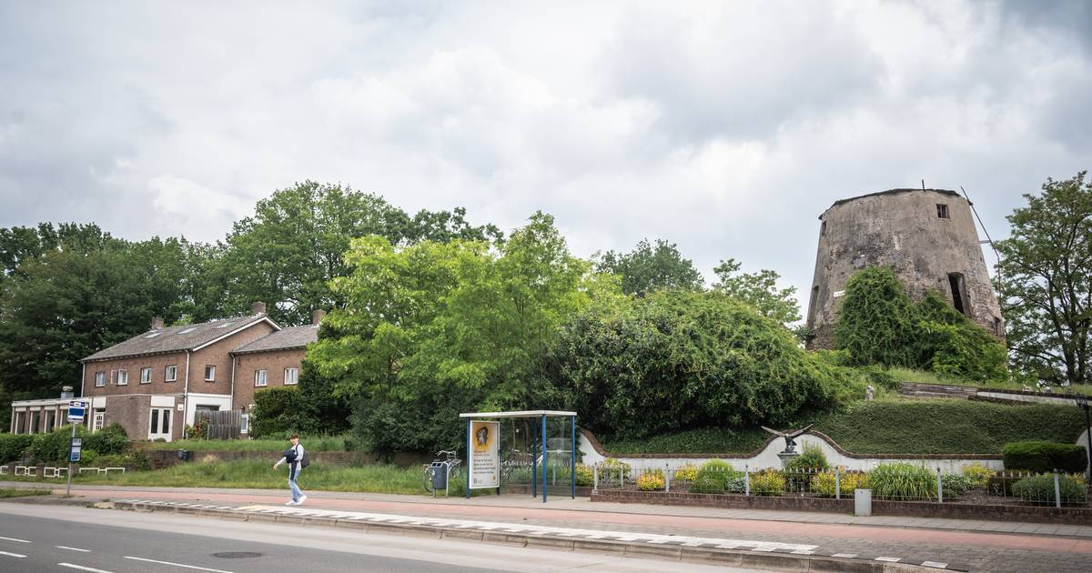 Wonen in de molen van Gradje uit Milsbeek? Er moet nog wel een dak op ...
