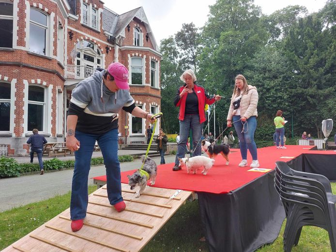 BEELD. Dierenliefhebbers trotseren kwakkelweer tijdens Beestig Eeklo | Eeklo | hln.be