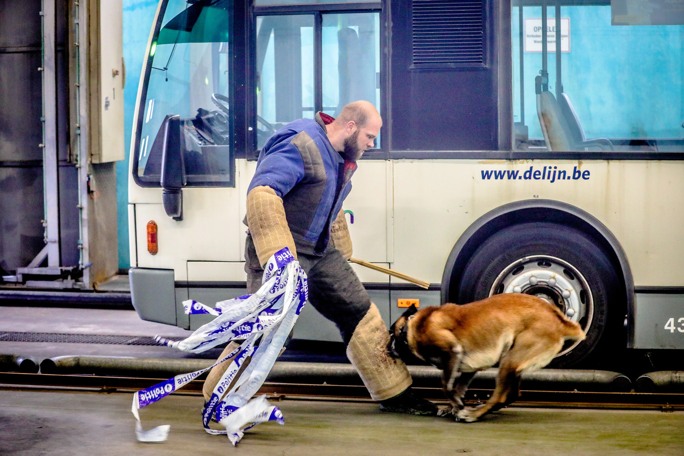 REPORTAGE. Op pad met de West-Vlaamse politiehonden: “Cash geld vinden ...
