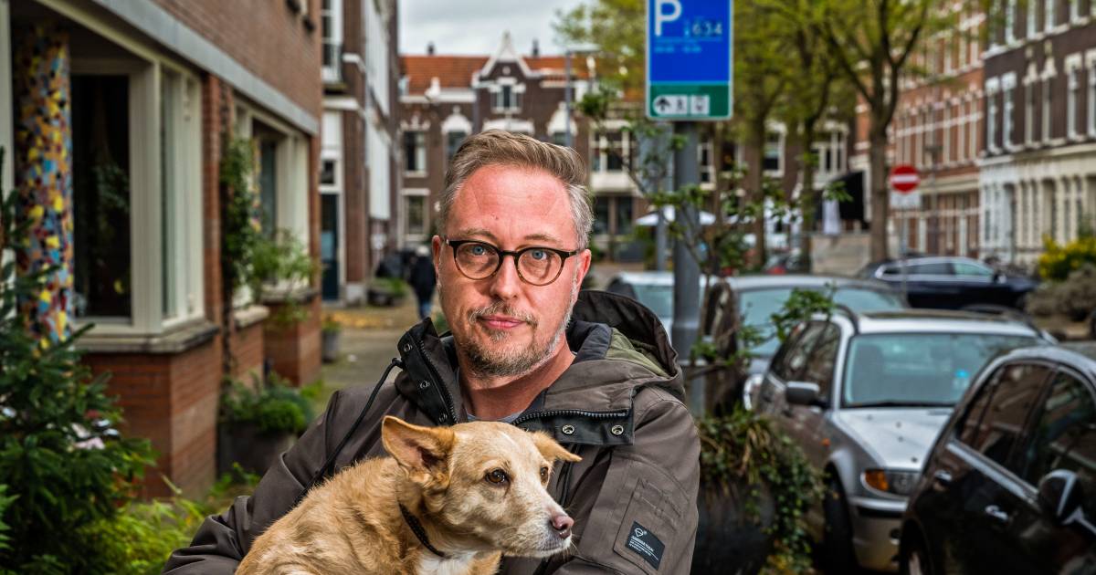 Vuurwerk bezorgt viervoeters nu al angstaanvallen: ‘Ringo is al aan de ...