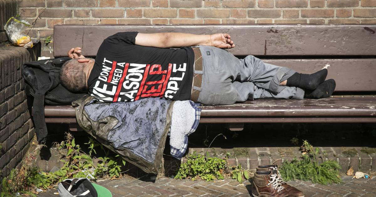 Ruim 6000 daklozen in 55 gemeenten in meerdere regio's | Sittard-Geleen ...