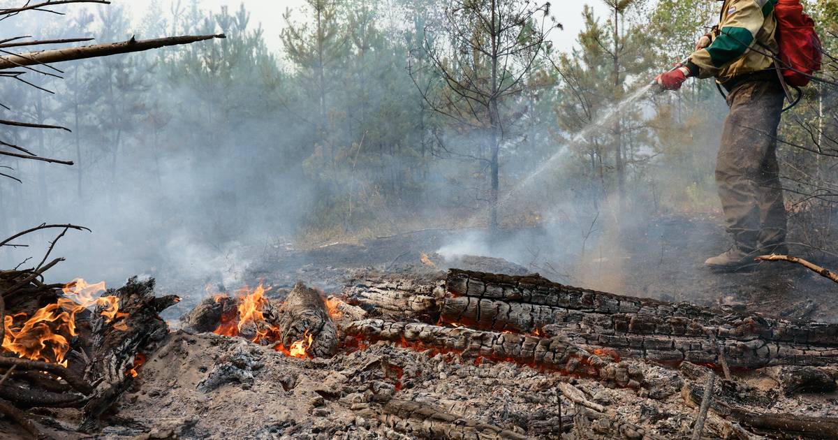 Bosbranden veroorzaken "moeilijke situatie" in delen van Rusland ...
