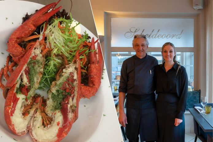 Seafood in het Waasland en Dendermonde: in deze 6 restaurants geniet je ...