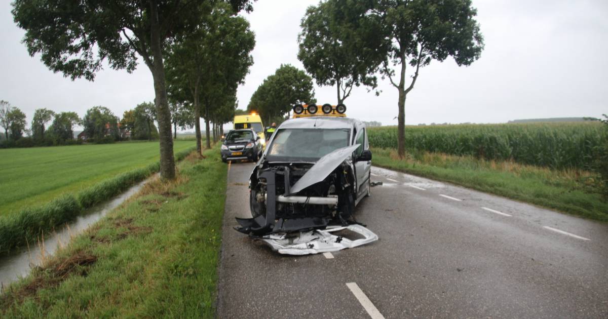Bestuurder van busje raakt twee bomen: flinke schade aan voertuig ...