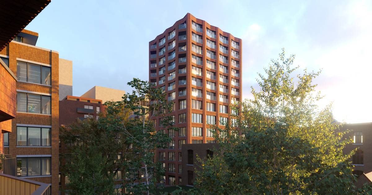 Pulse Antwerp, modern wonen in een karaktervolle buurt met de Zoo als ...