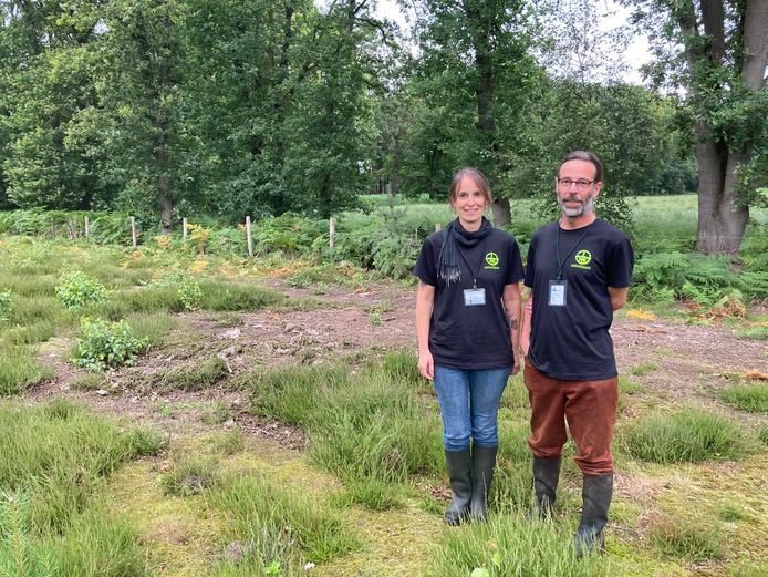 Onbekende loost inhoud septische put in Heidebos: “Er lagen ...