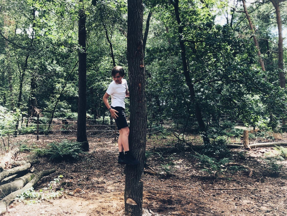 Tina en Koen openen uniek ‘boscafé’ Papenbos: “In ons speelbos kunnen ...
