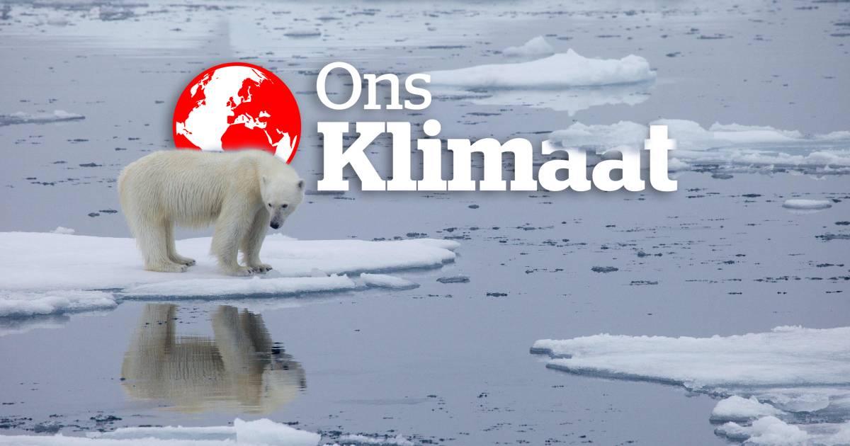 Deze scenario's voorziet het IPCC voor de planeet: beperking van de ...