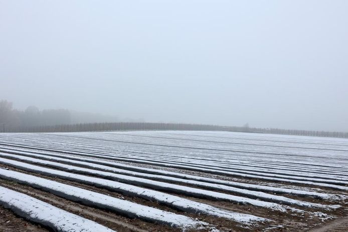 IN BEELD. Zuid-Limburg wordt wakker onder laagje eerste sneeuw ...