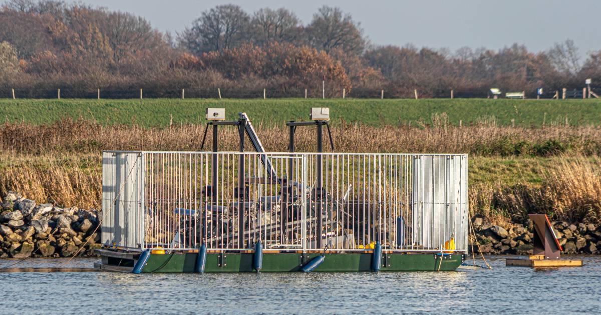 Stroom opwekken uit de stroming van de IJssel: proef in Zwolle is ...
