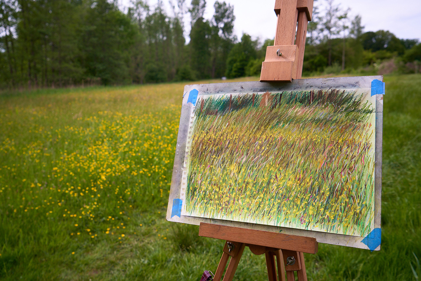 Fotograaf en beeldend kunstenaar met een passie voor natuur en tekenen ...