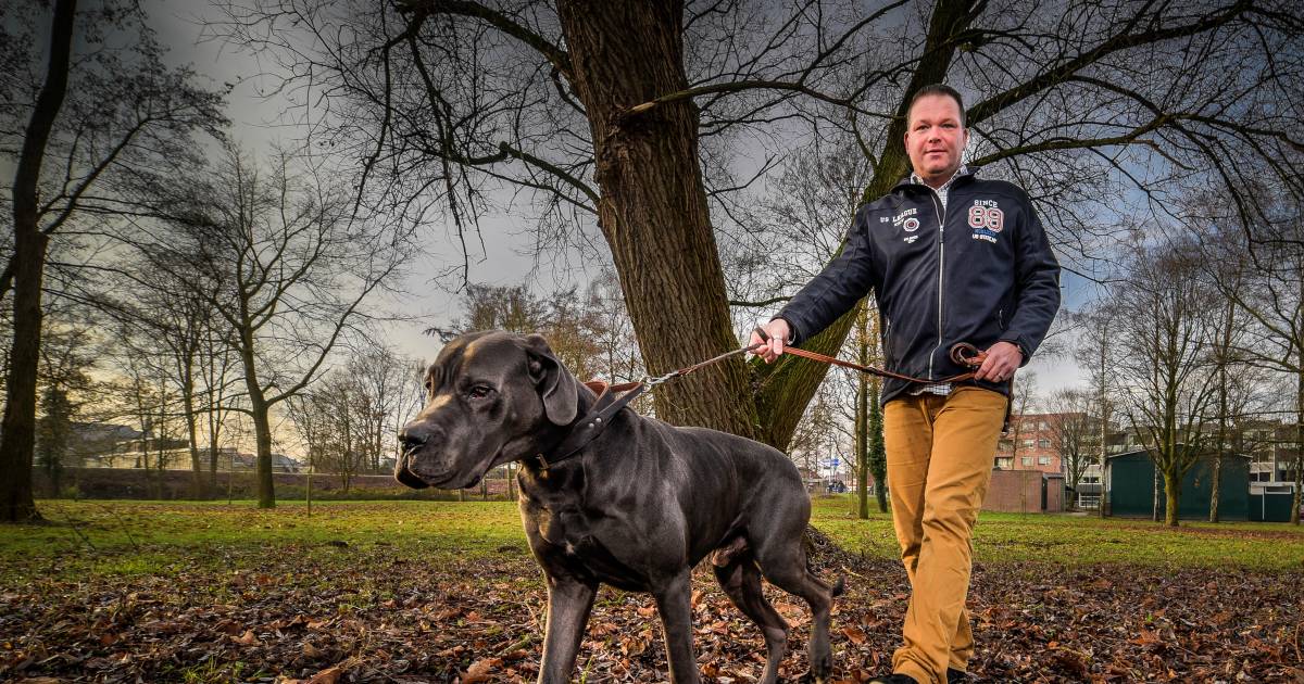 Jeroen Sluik gaat de politiek in: ‘Glanerbrug is veiliger, mijn taak is ...