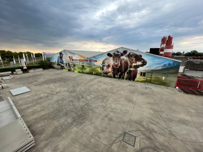 Graffitikunstenares Djoels zorgt voor enorme ode aan landbouwleven in ...