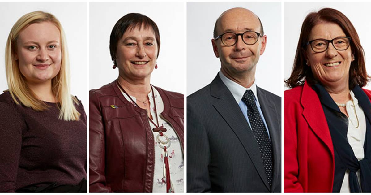 Vlaams Belang grijpt in bij lokale afdeling in Brecht: nieuw bestuur zonder huidige raadsleden ...