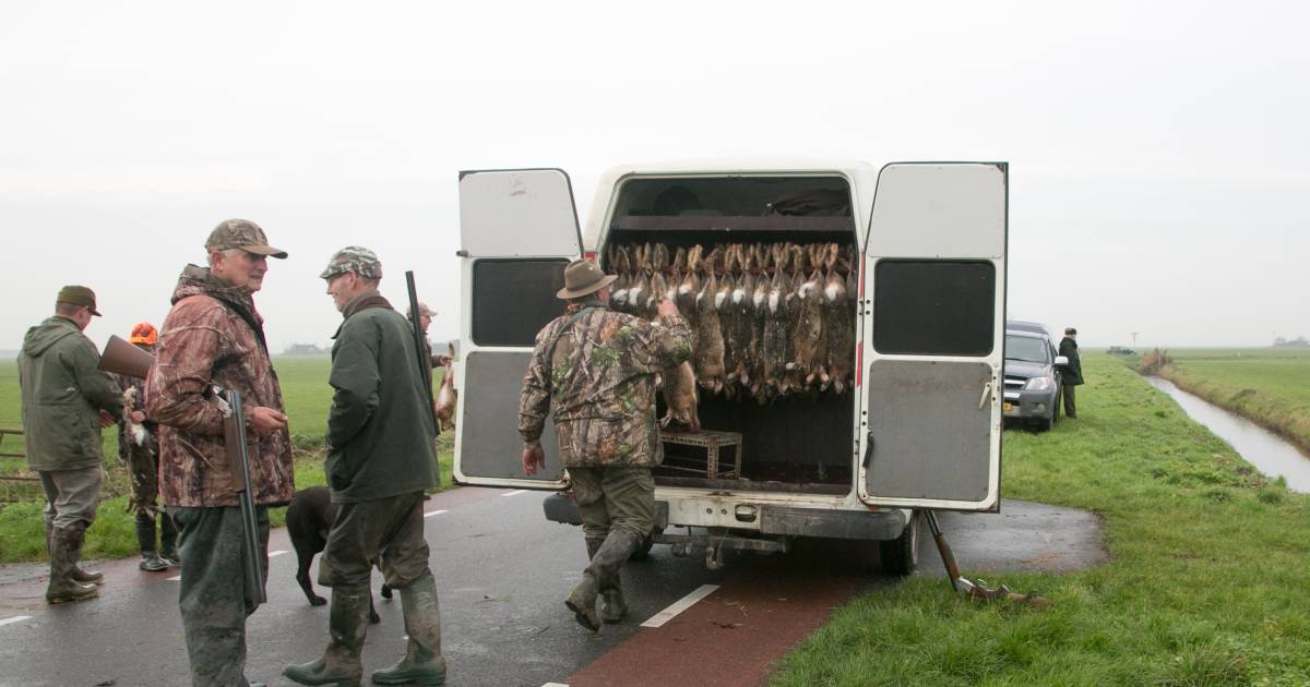 De haas is het haasje, tot verdriet van safarileider Cees: ‘Ik word ...