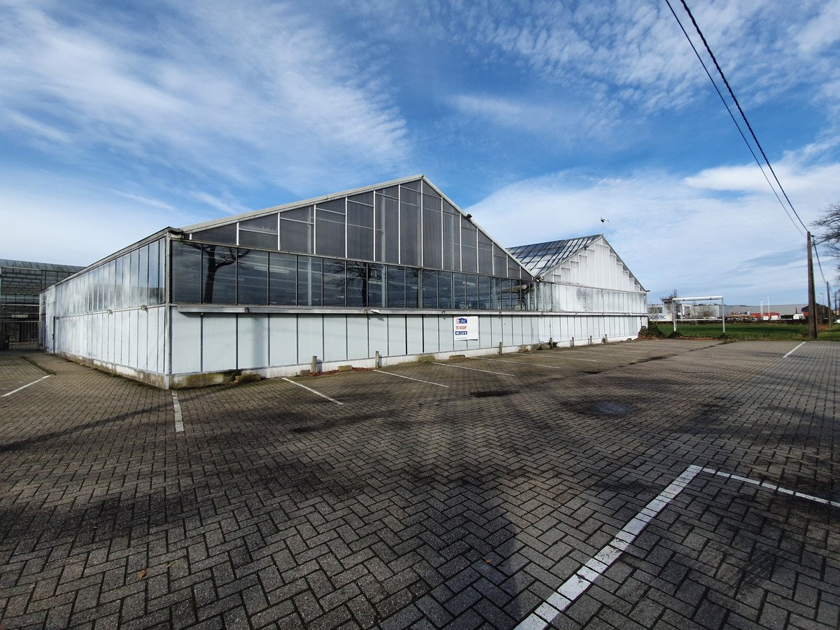 Voormalig tuincentrum Pelckmans te koop voor 1,75 miljoen euro: “Ideaal ...