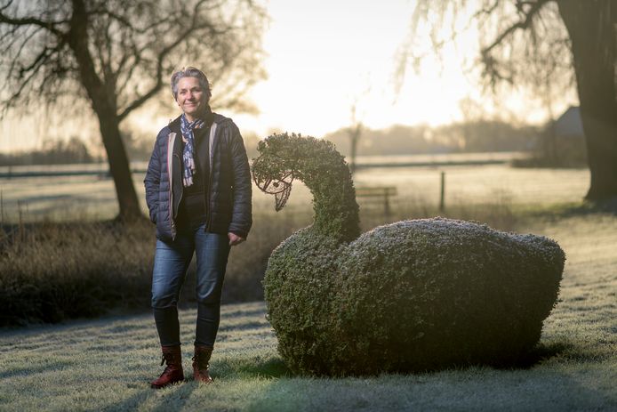 De Zwanenhof in Zenderen hoopt kuurhotel in najaar eindelijk te kunnen ...