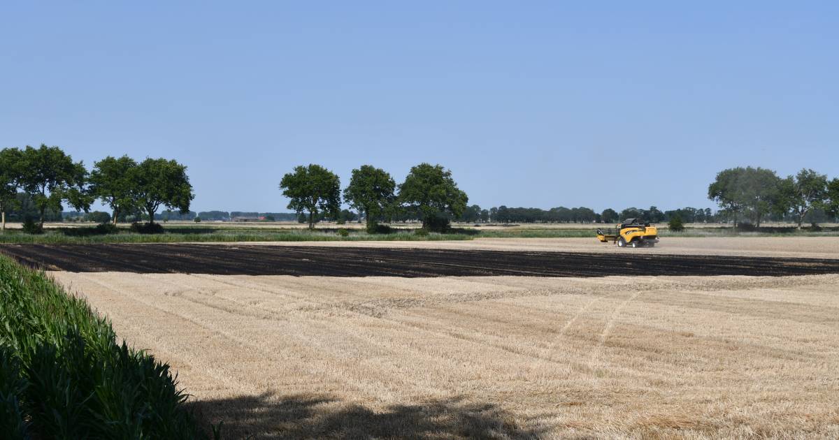 Perceel geoogste tarwe in brand in IJzendijke | Zeeuws-Vlaanderen | pzc.nl