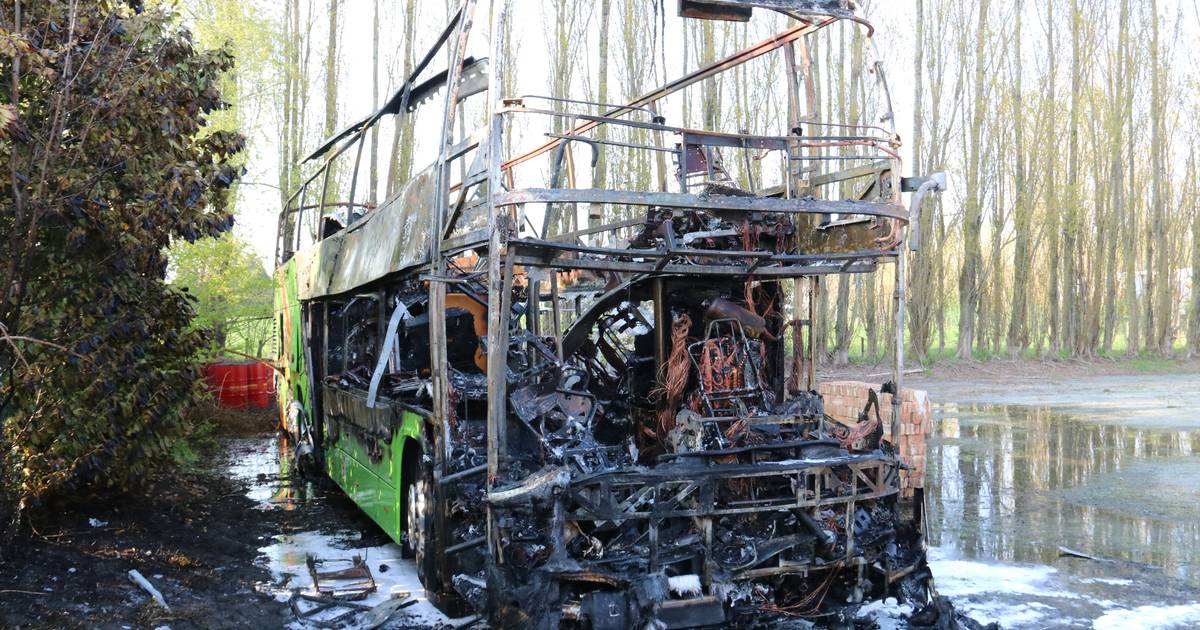 Flixbus die eerder al vuur vatte, is nu hélemaal verloren na nieuwe ...
